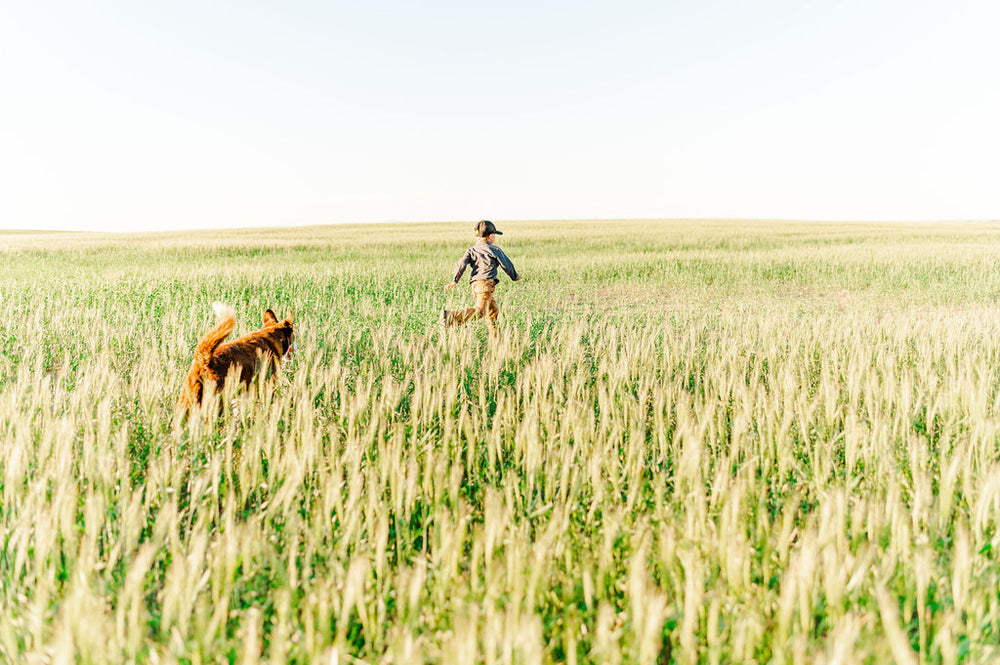 Stick Leg Ranch // Grass-fed, pastured beef from Montana to your table