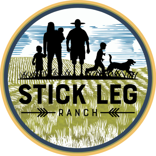 KIDS SHIRTS - Stick Leg Ranch